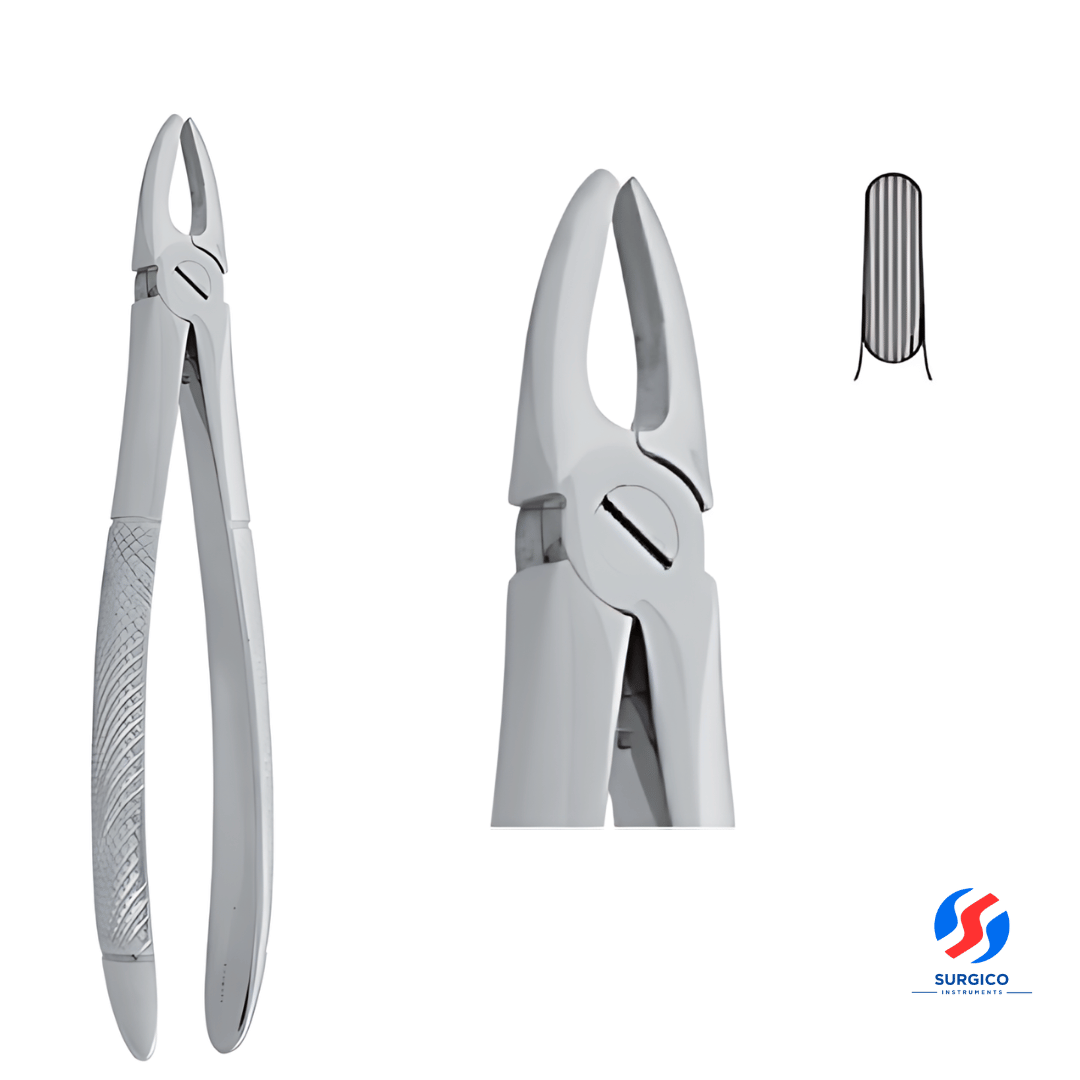 Extracting forceps - upper incisors & canines #2 - Surgico Instruments